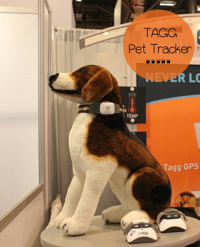 TAGG Pet Tracker Tracks Your Dog s Exericse GPS tagg-pet-tracker-tracks-your-dog-s-exericse-gps