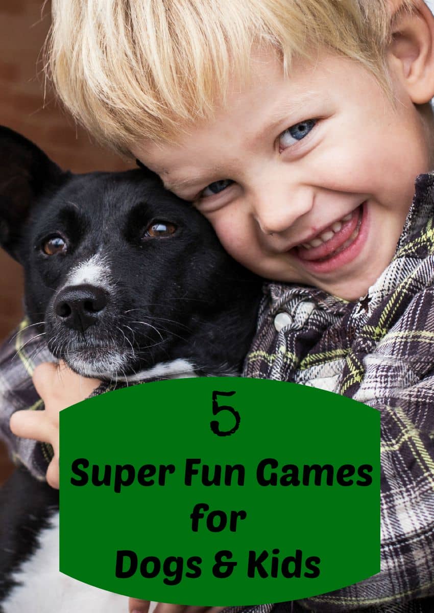 5 Super Fun Games For Dogs Kids DogVills 5 Super Fun Games For Dogs Kids DogVills