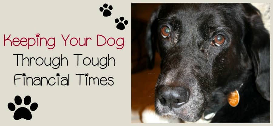 Keeping Your Dog Through Tough Financial Times