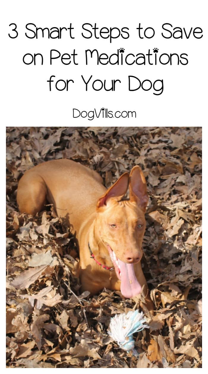 3 Smart Steps to Save on Pet Medications for Your Dog #fetchmymeds ...