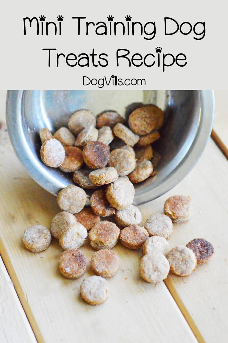 Easy Mini Training Dog Treats Recipe DogVills