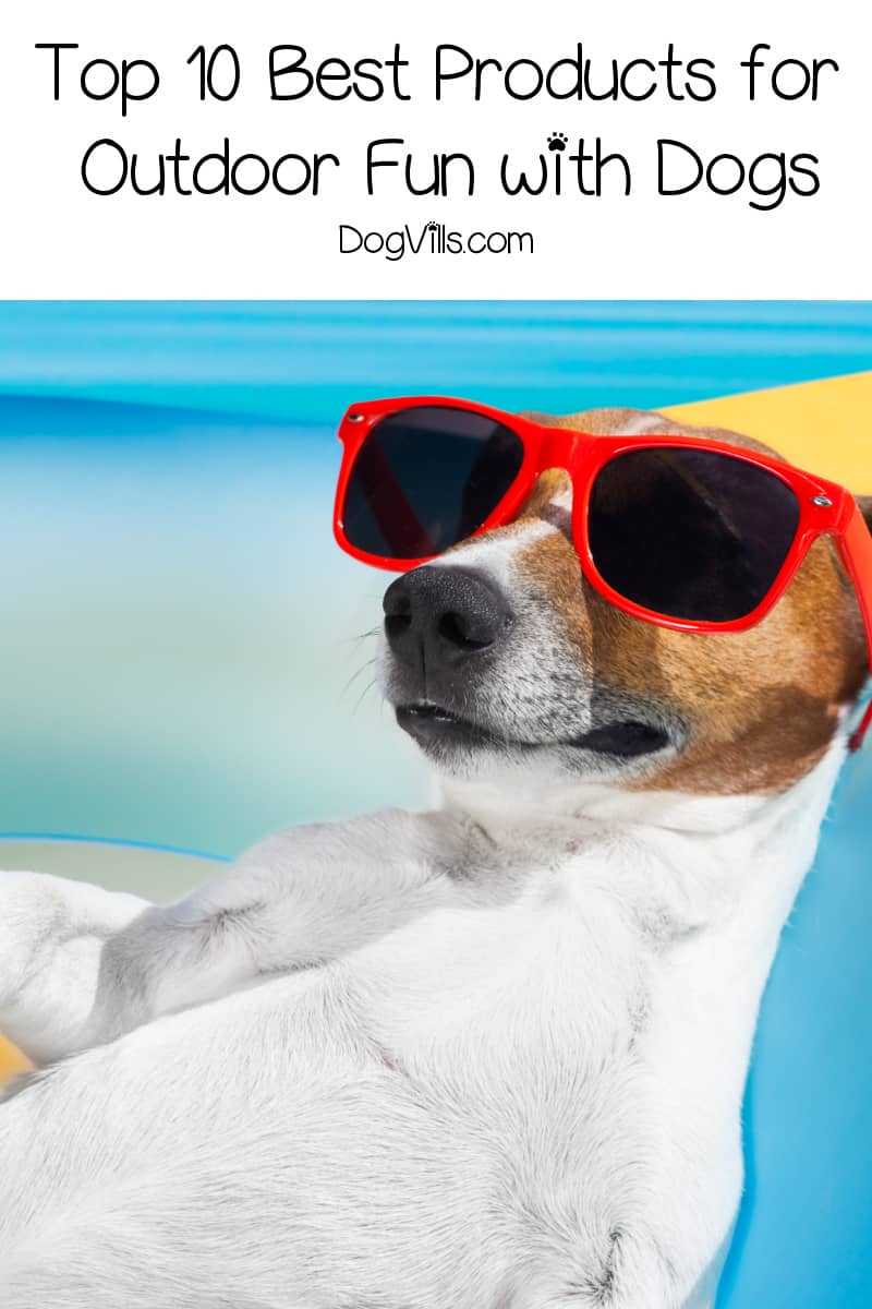 Top 10 Best Products for Outdoor Fun with Dogs - DogVills